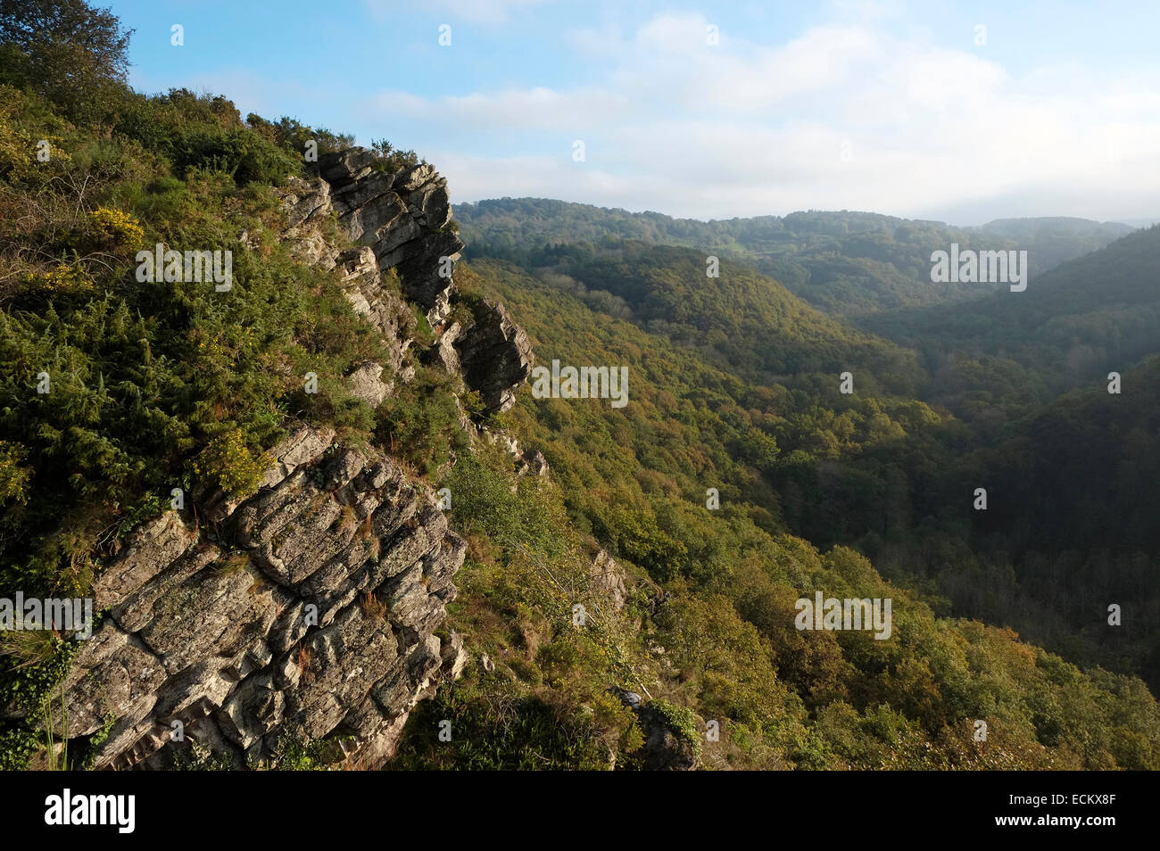 France normandy forest hi-res stock photography and images - Alamy