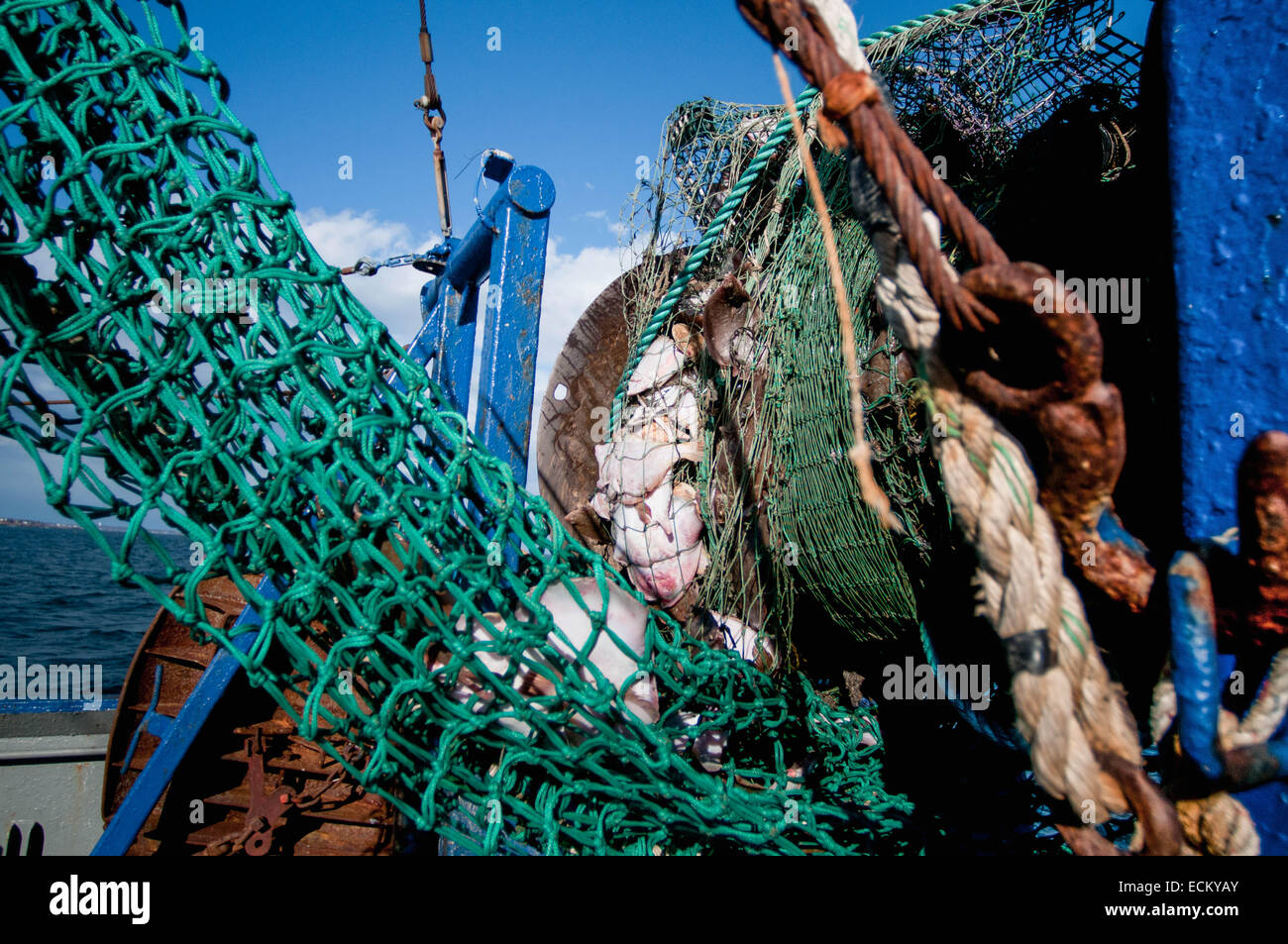 Hauling back dragger net on fishing trawler. Stellwagen Bank, New ...