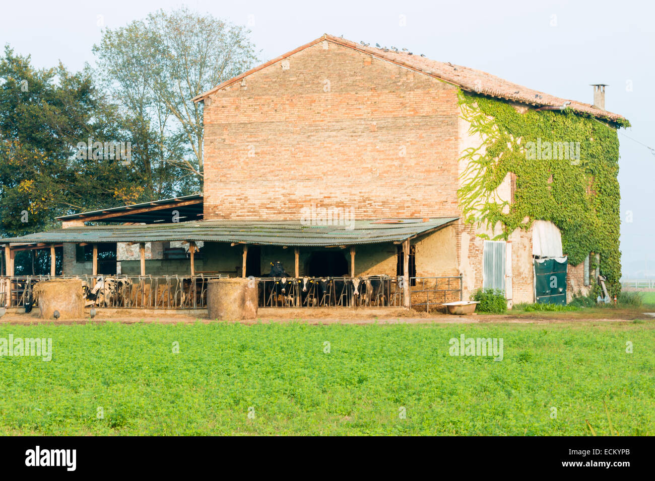 Building hay bale house hi-res stock photography and images - Alamy