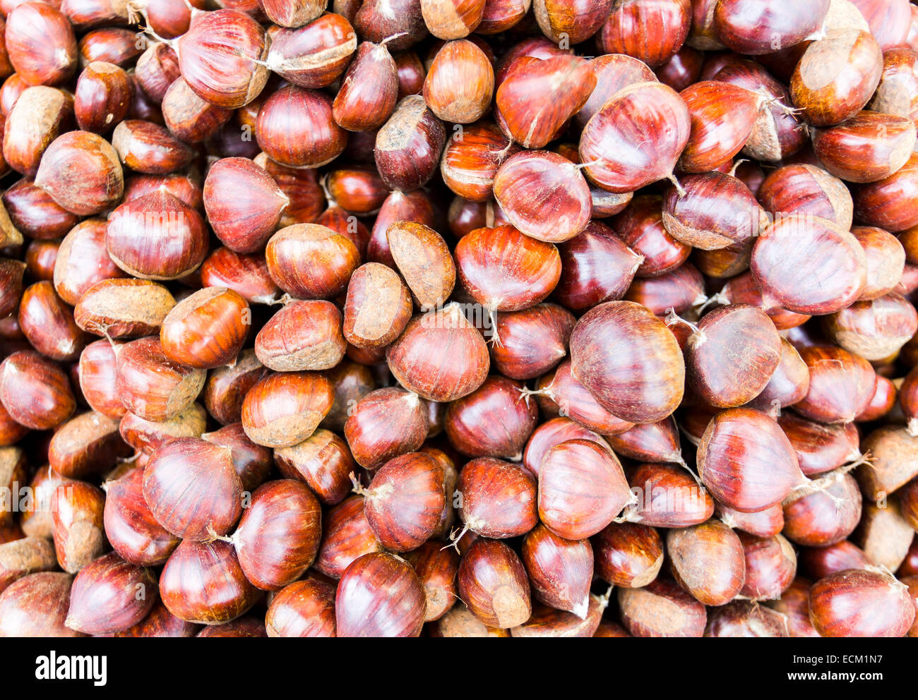 Many chestnuts prepared for selling at a Turkish market street Stock ...