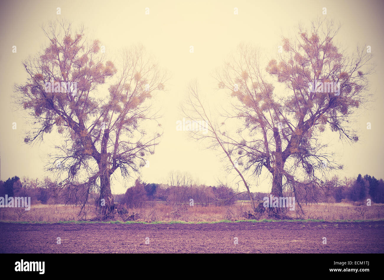 Sunset over field, vintage retro style nature background Stock Photo ...