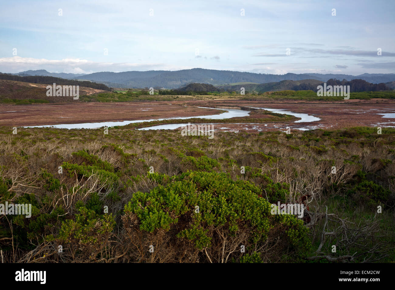 Marsh natural hi-res stock photography and images - Alamy