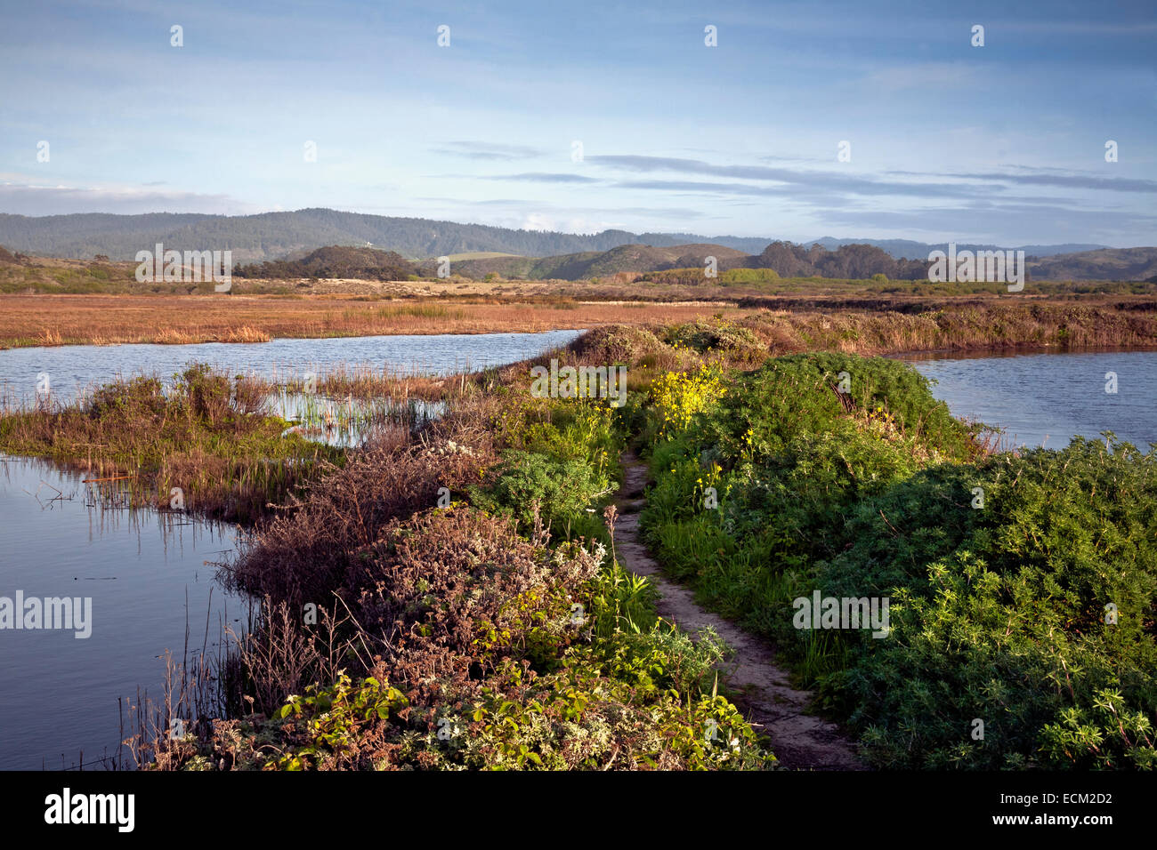 Natural levee hi-res stock photography and images - Alamy