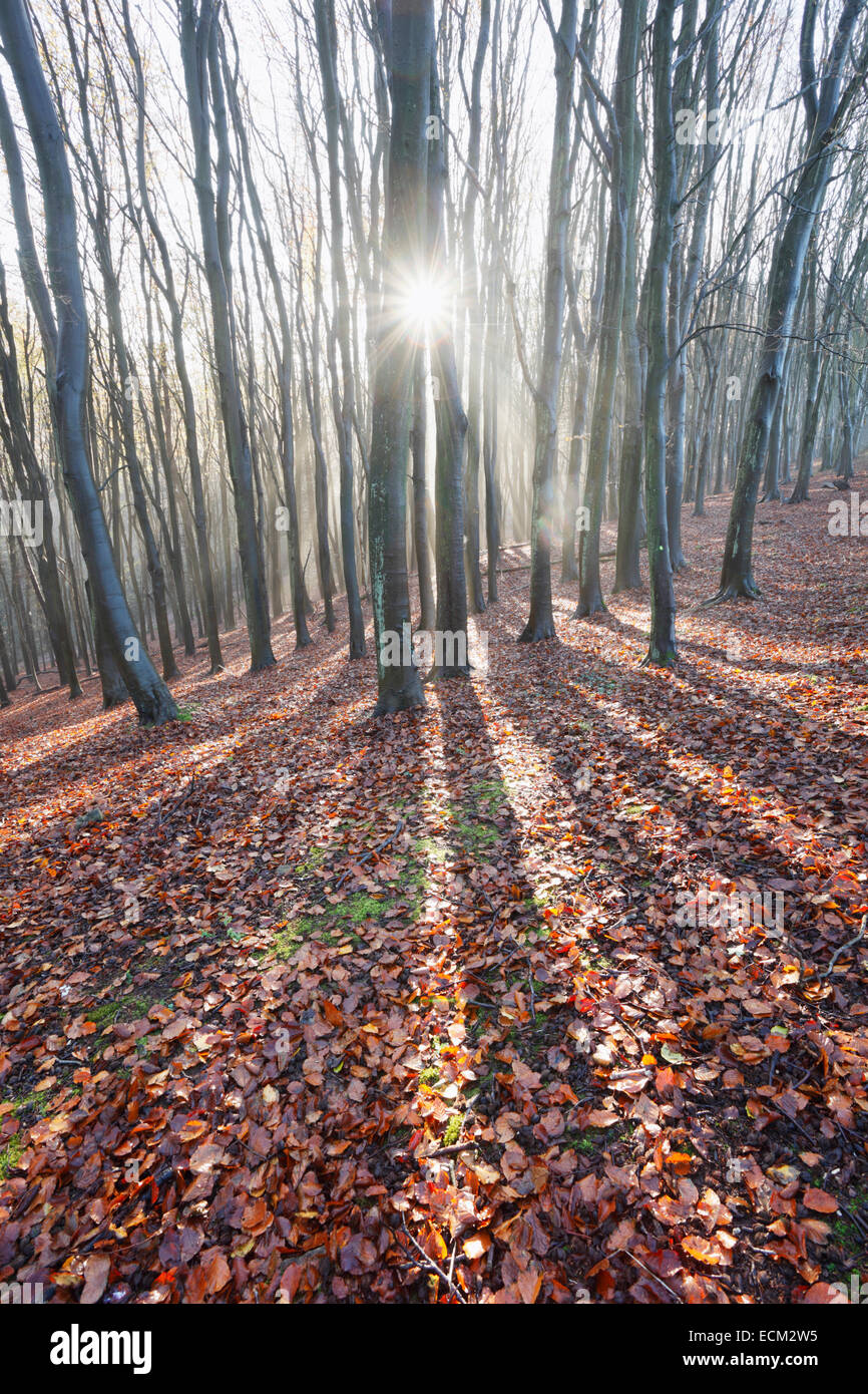 Uk gb sun hi-res stock photography and images - Alamy