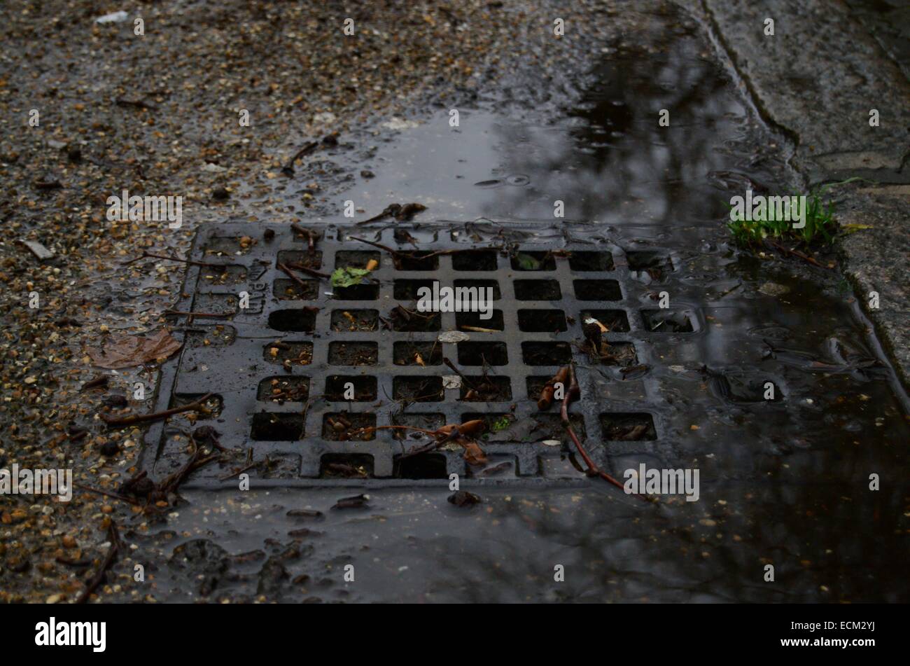 Puddle drain hi-res stock photography and images - Alamy