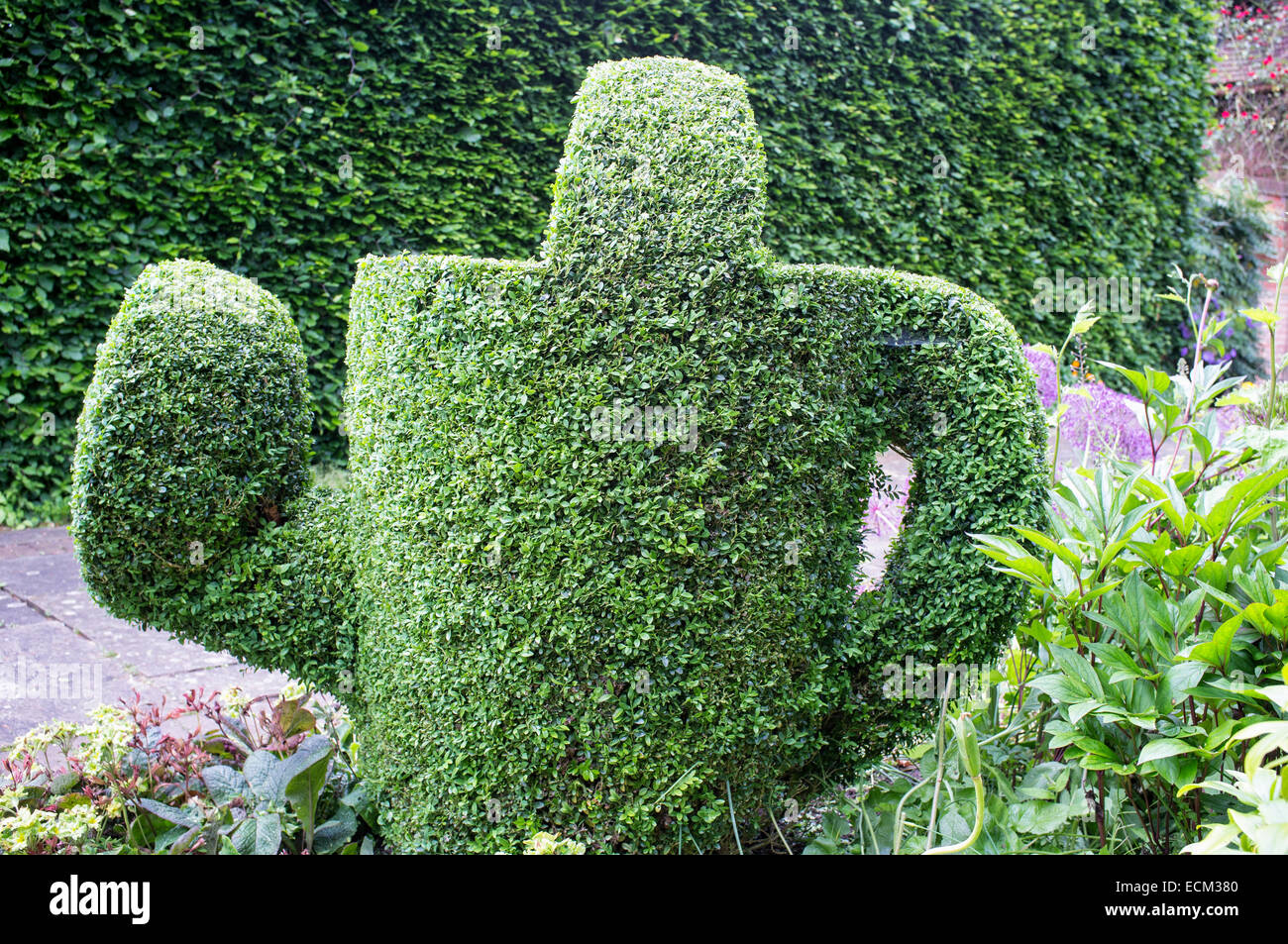 Topiary box watering can Stock Photo - Alamy
