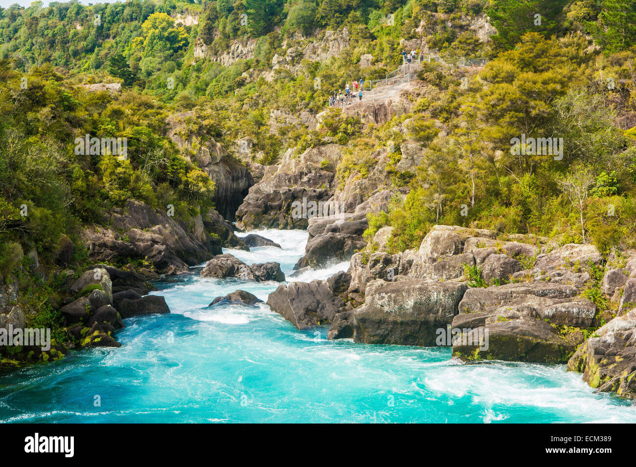 Waikato river hi-res stock photography and images - Alamy
