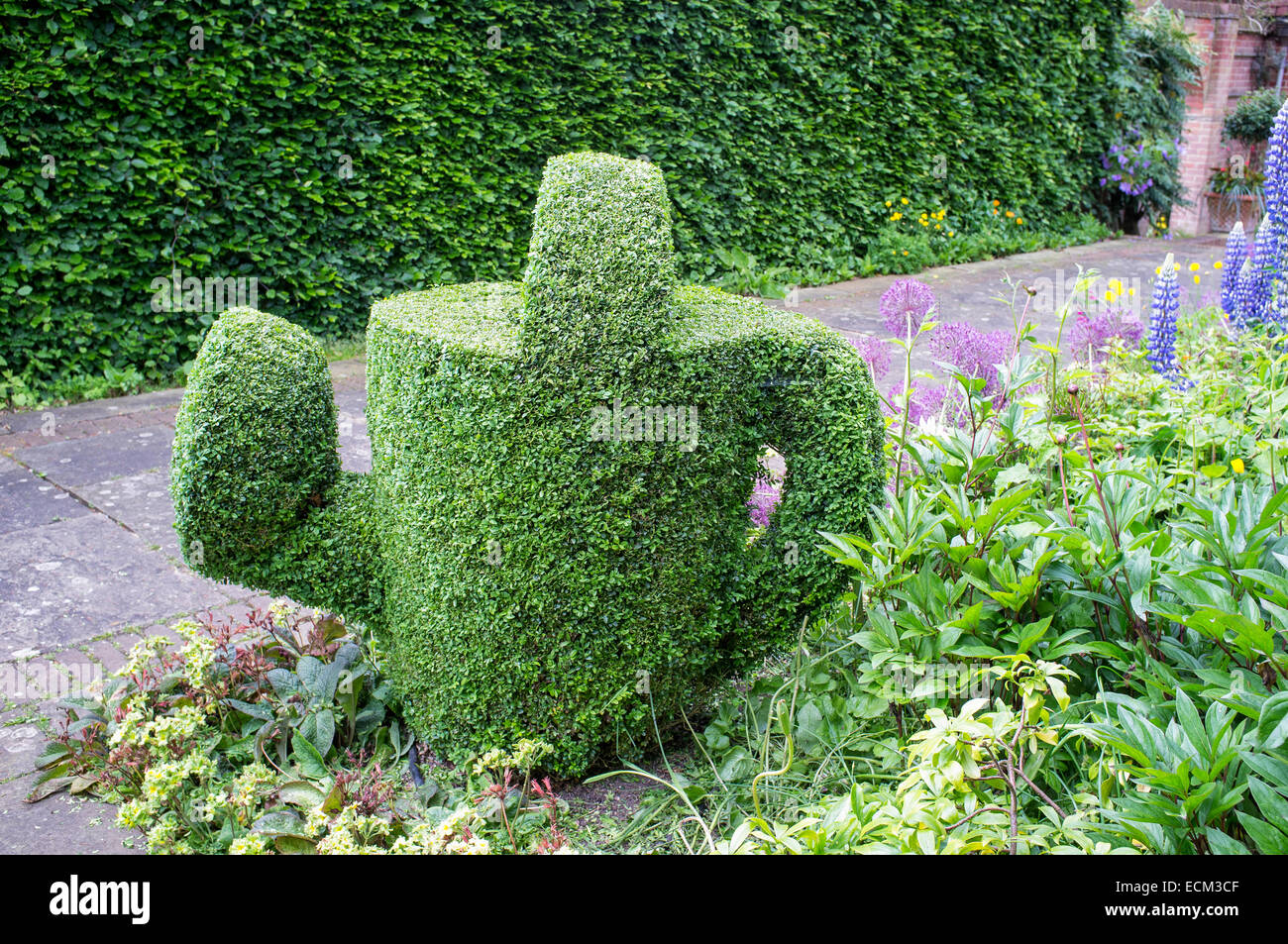 Topiary box hi-res stock photography and images - Alamy