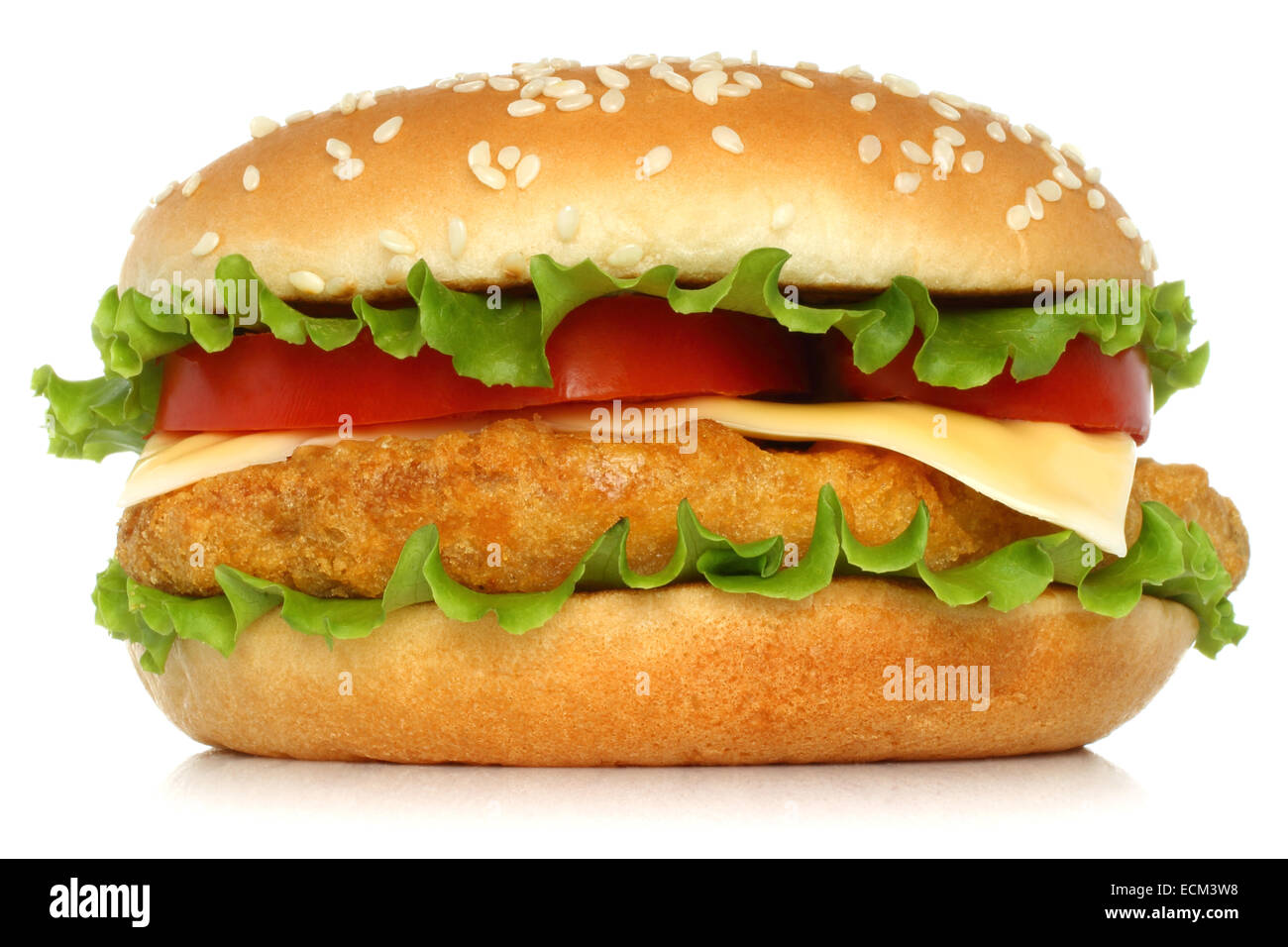 Big chicken hi-res stock photography and images - Alamy