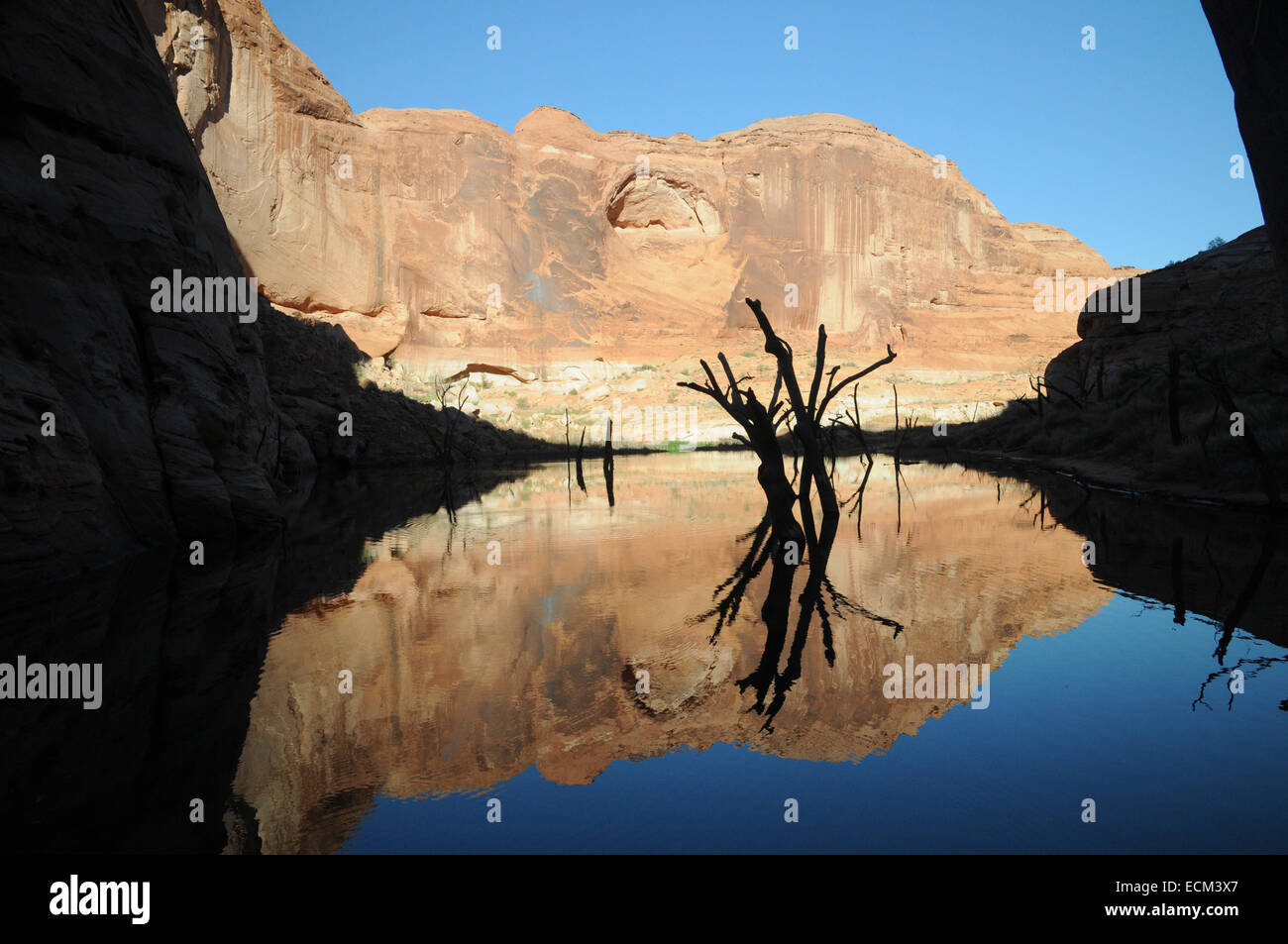 A low afternoon sun casts a shadow over the far end of Forgotten Canyon ...