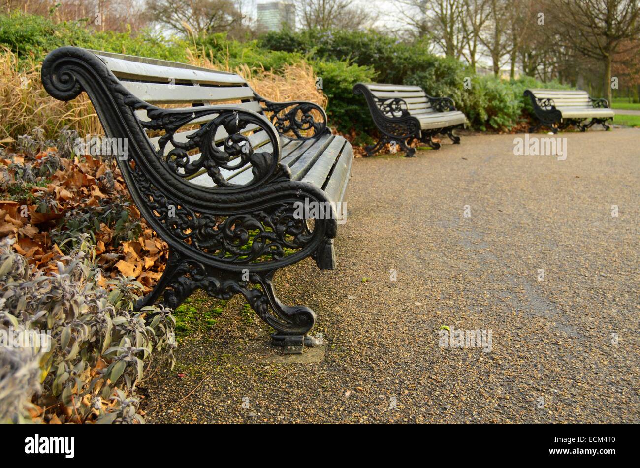 Benches in Regent's Park in London, England Stock Photo - Alamy