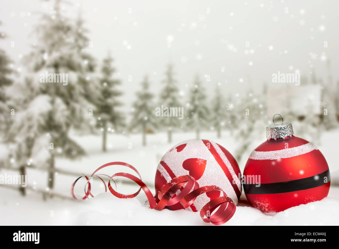 Red Christmas balls in the snow, snowy pine trees in the background ...