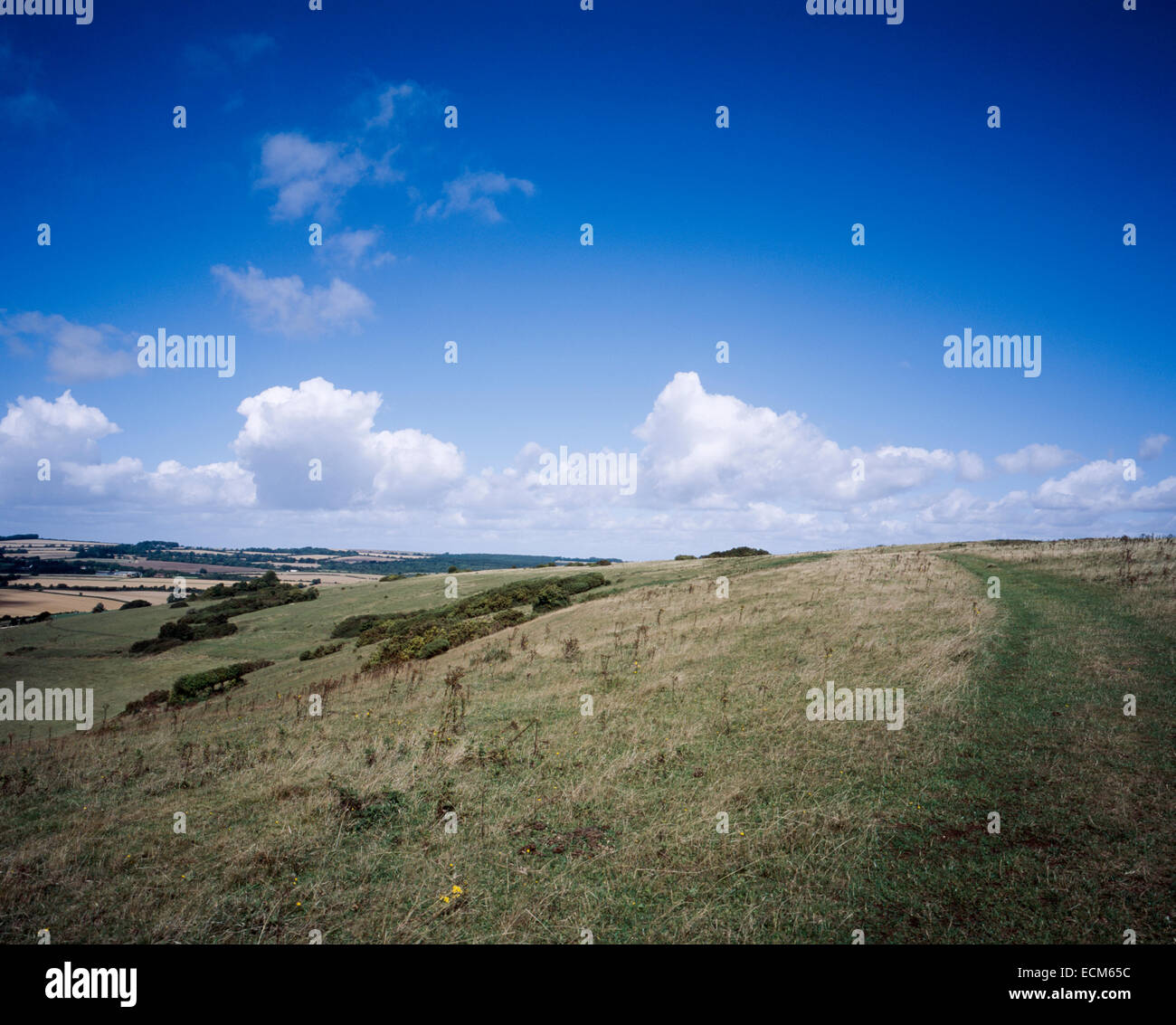 A from Penbury Knott Hill Fort on Pentridge Hill The Dorset Downs near ...