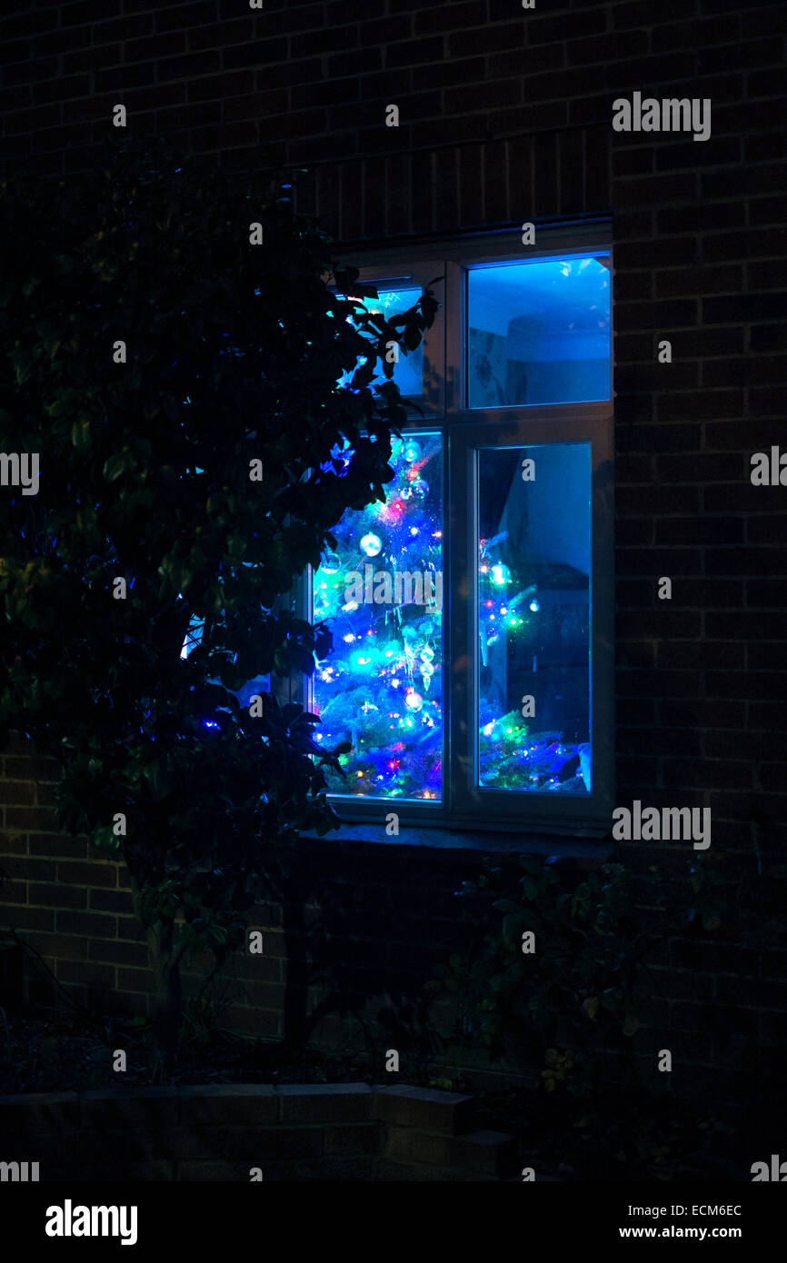 a decorated christmas tree glows brightly at night through a window ...