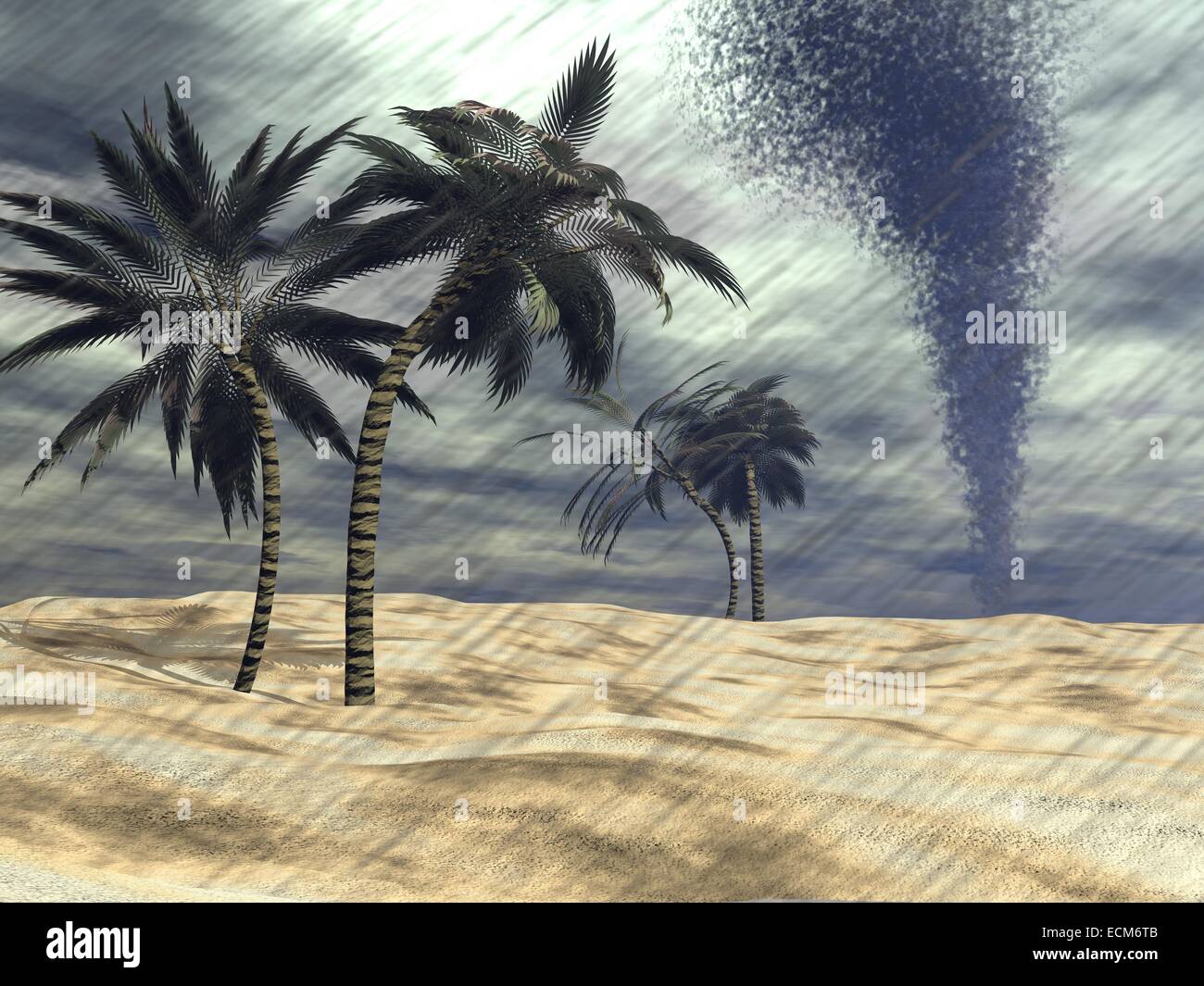 Palm trees under the rain at beach Stock Photo - Alamy