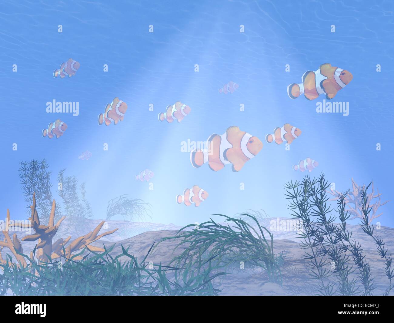 Clownfishes or anemonefishes in deep blue underwater Stock Photo - Alamy