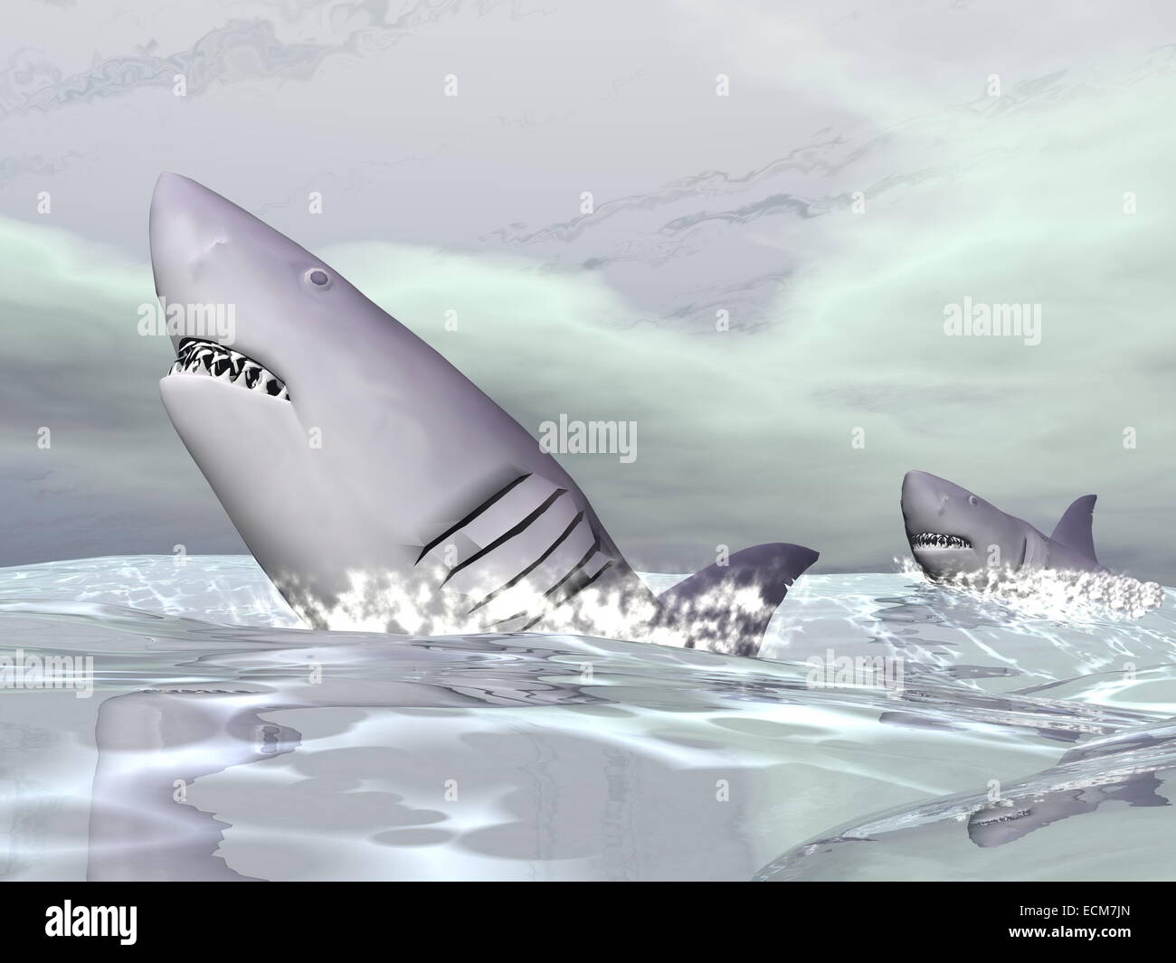 Two sharks swimming out of the ocean by grey cloudy day Stock Photo - Alamy