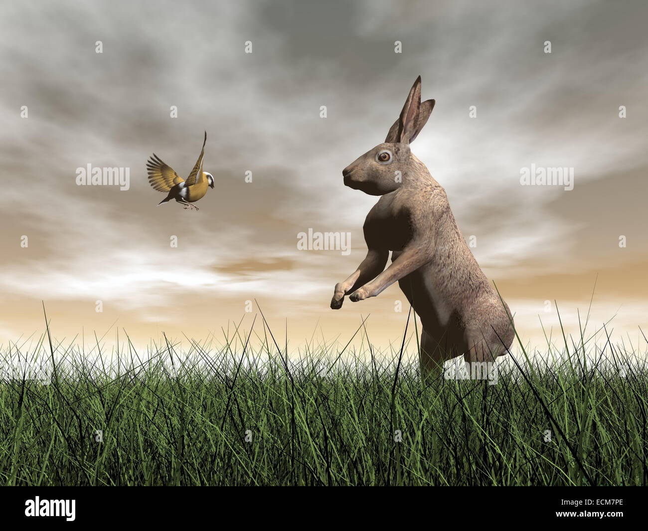One hare talking to a bird on the grass by brown sunset Stock Photo - Alamy