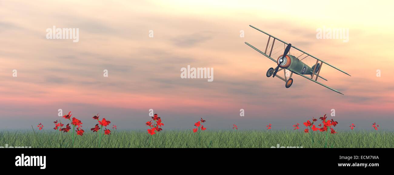 Vintage biplane standing on the green grass with flowers by pink sunset ...