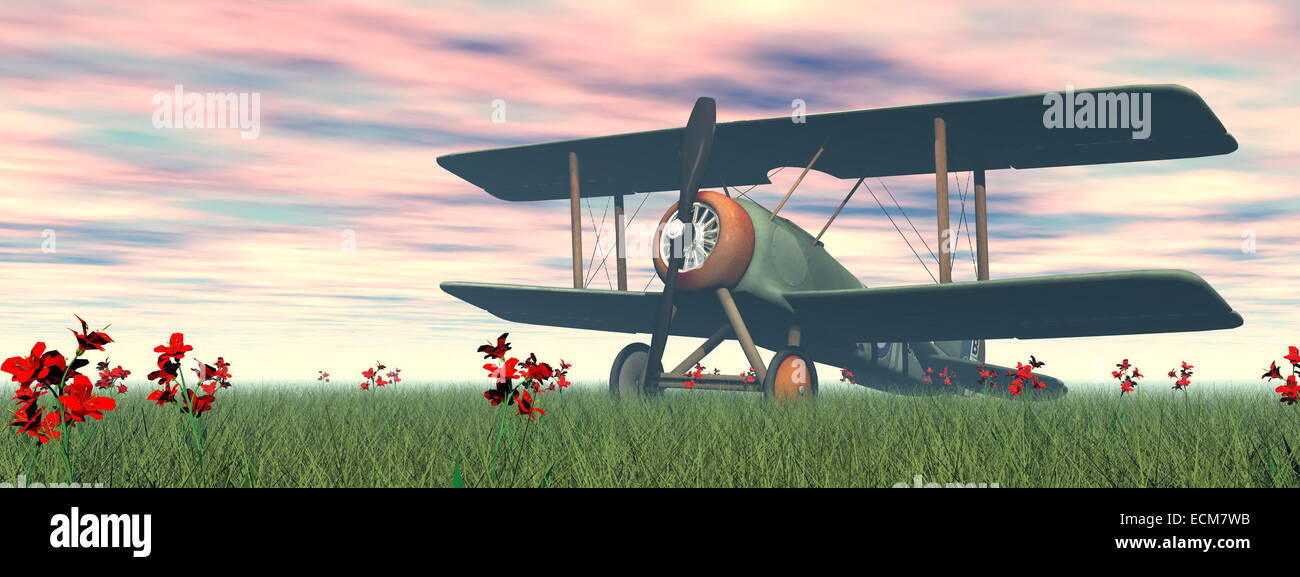 Vintage biplane standing on the green grass with flowers by pink sunset ...
