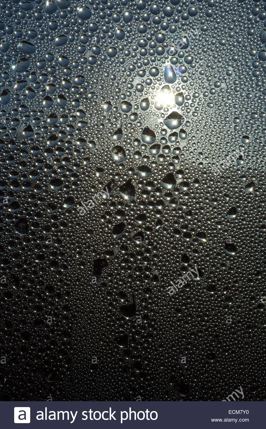 Condensation In Winter High Resolution Stock Photography and Images - Alamy