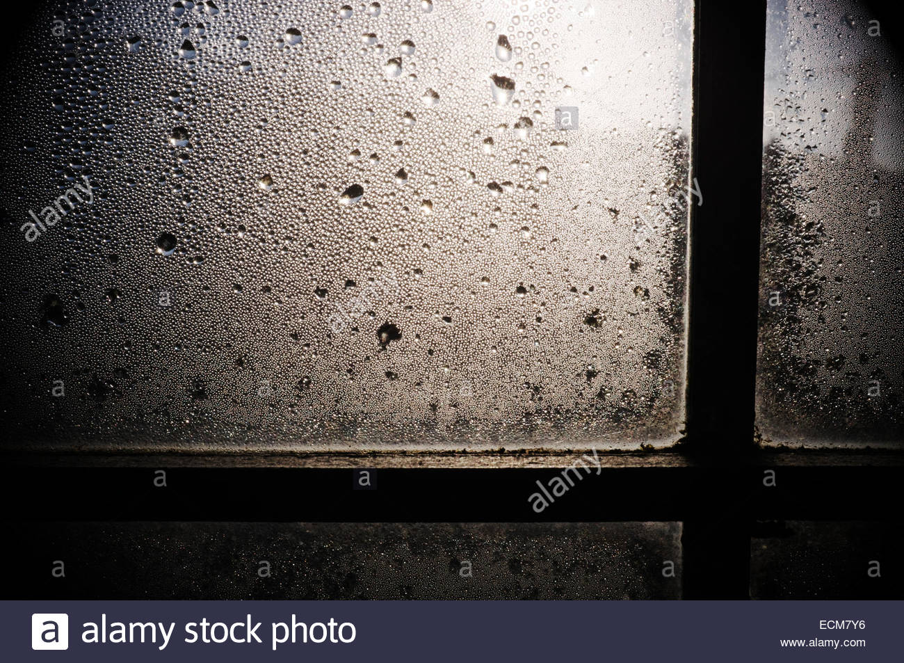 Condensation In Winter High Resolution Stock Photography and Images - Alamy