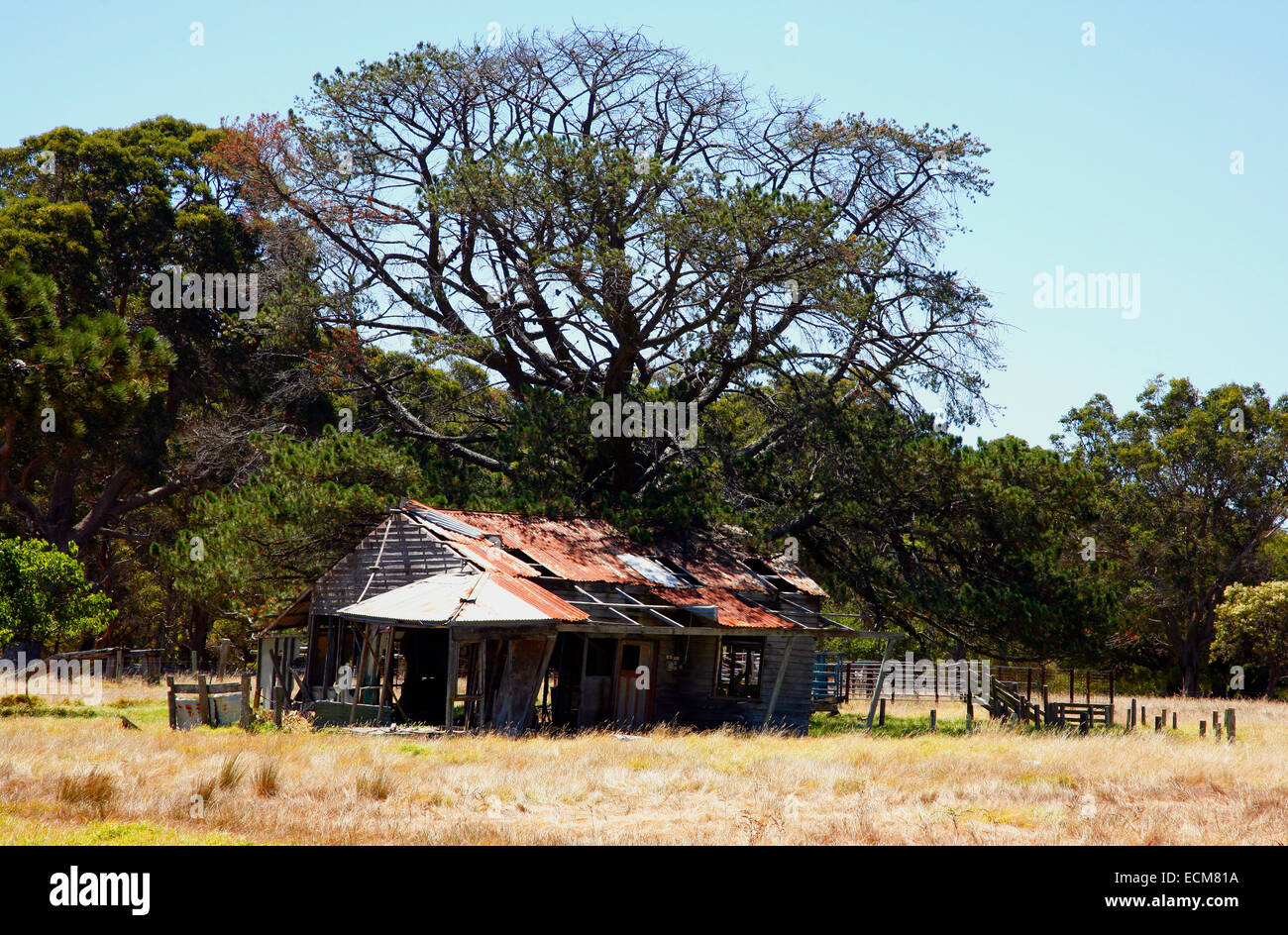 Dilapidated Outback Ranch York Western Australia Stock Photo - Alamy