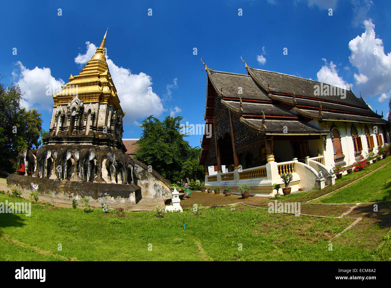 Gold topped elephant chedi at Wat Chiang Man Temple in Chiang Mai ...