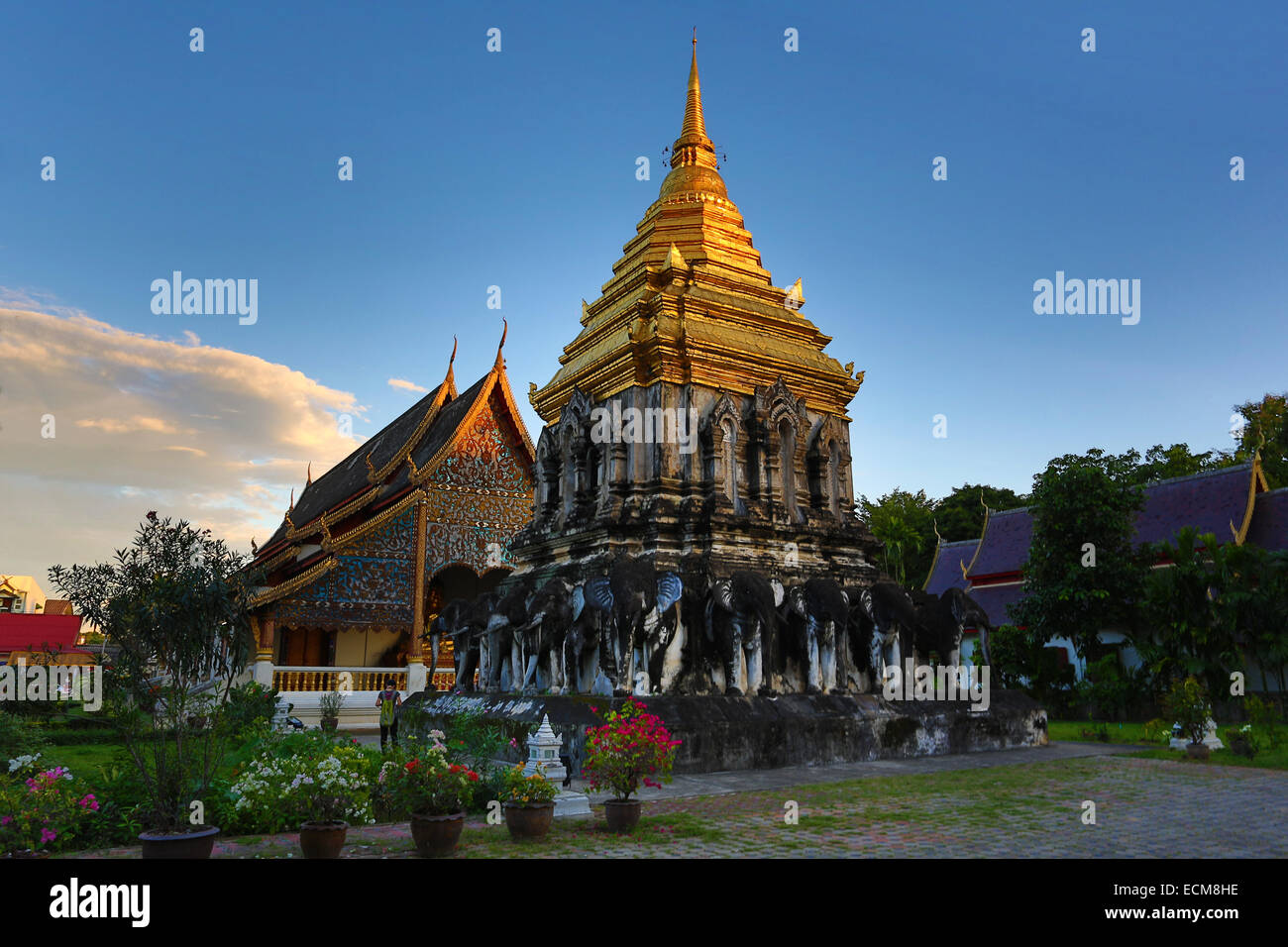 Gold topped elephant chedi at Wat Chiang Man Temple at sunset in Chiang ...