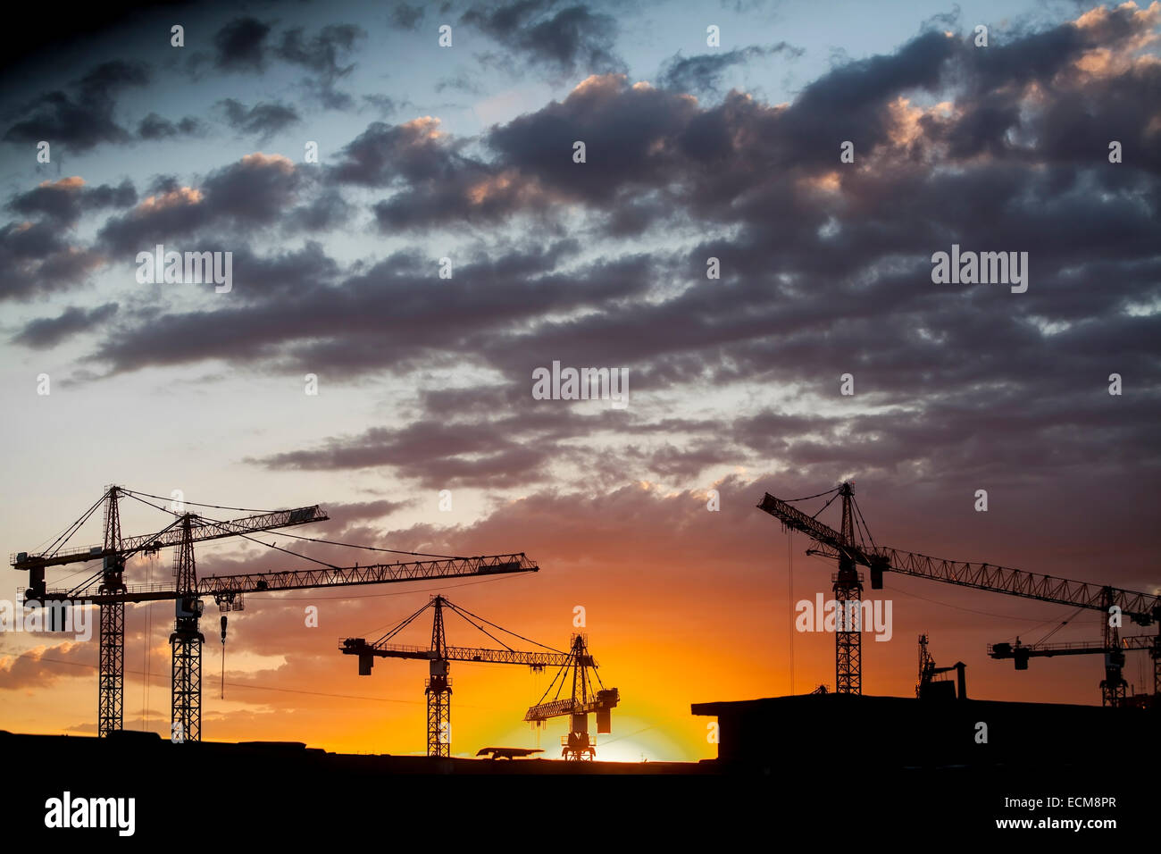 Color picture of some cranes on a construction site, as dusk Stock ...