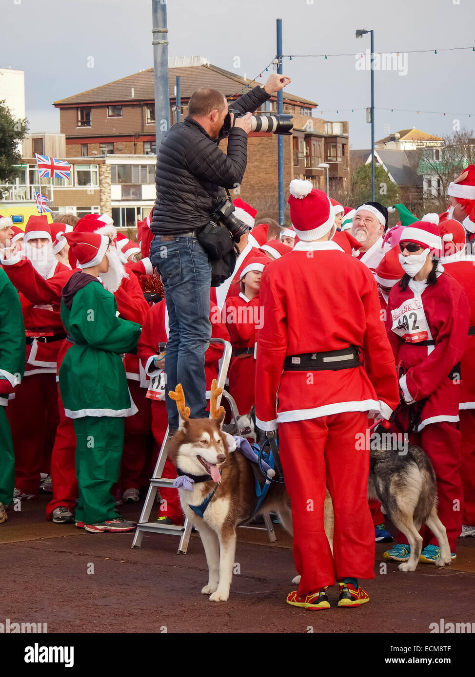 A photographer standing on a step ladder directs Santa's at the start ...