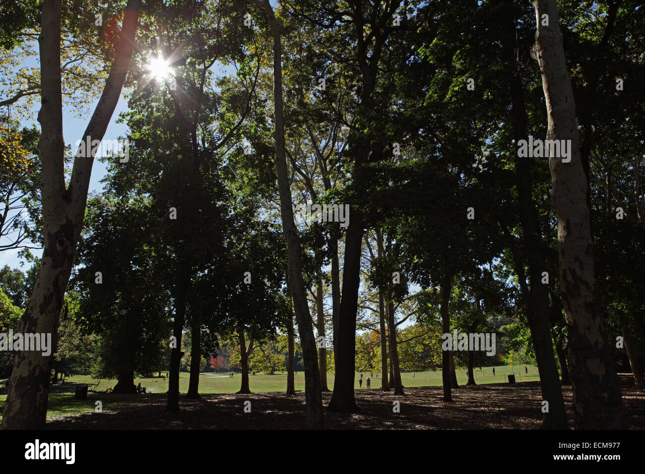 Prospect park brooklyn hi-res stock photography and images - Alamy