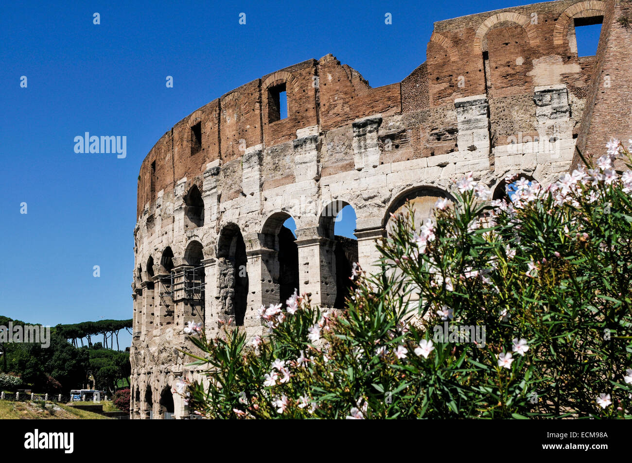 A section of the Colosseum in Rome Italy Stock Photo - Alamy