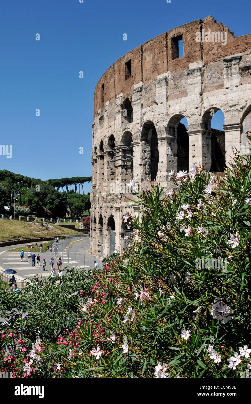 A section of the Colosseum in Rome Italy Stock Photo - Alamy