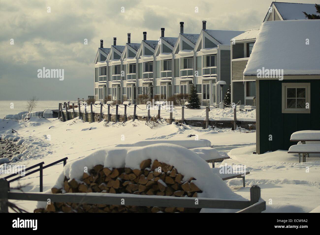 Blue fin hi-res stock photography and images - Alamy