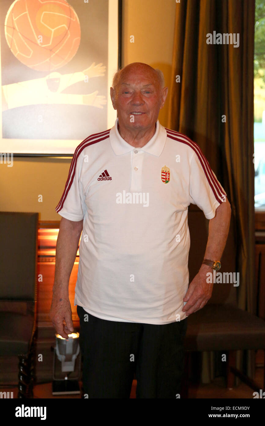 Germany 1954 world cup hi-res stock photography and images - Alamy