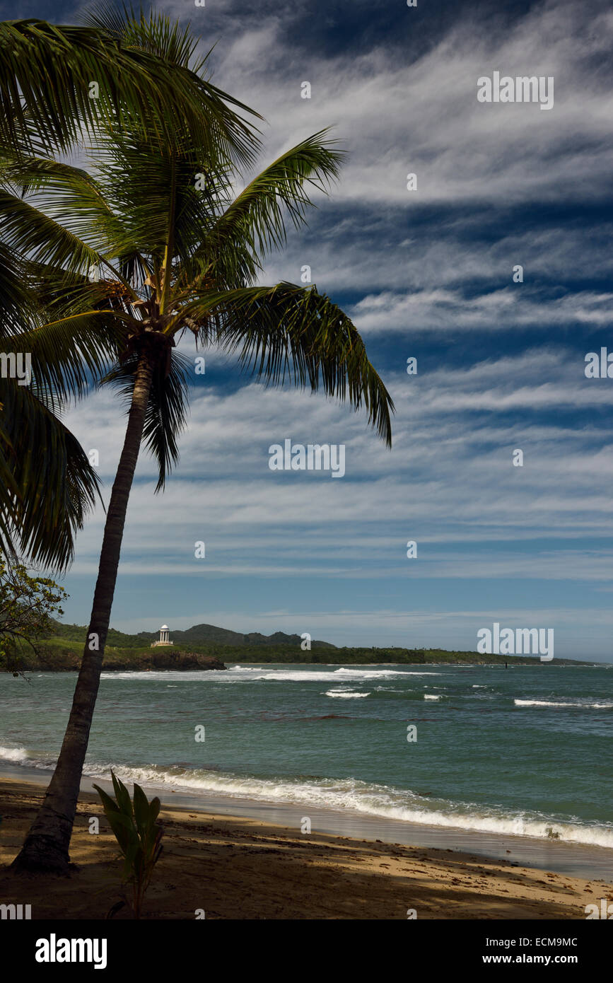 Coconut Palm tree on beach and classic gazebo at Maimon Bay at Riu ...