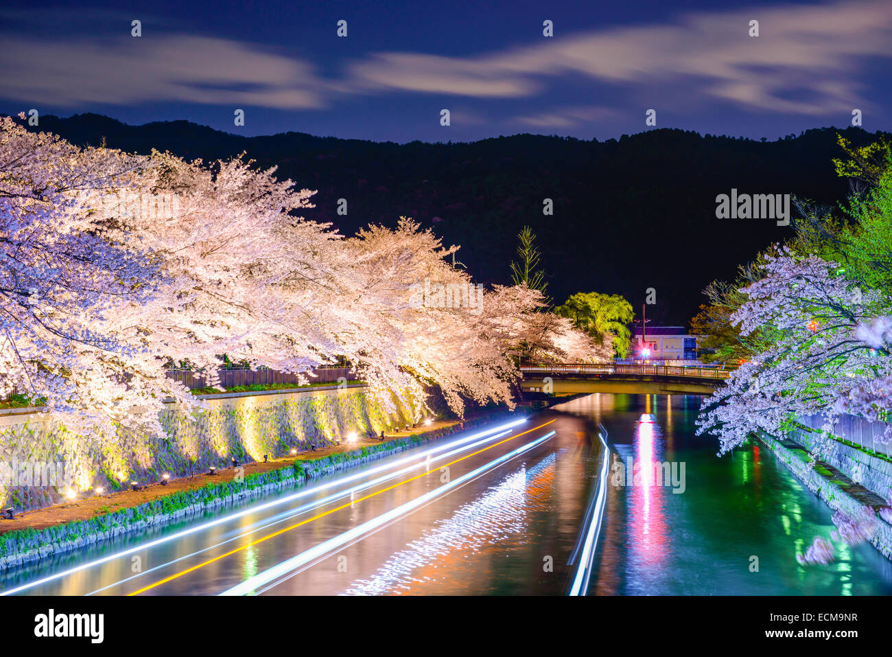 Kyoto, Japan on the Okazaki Canal during the spring cherry blossom ...