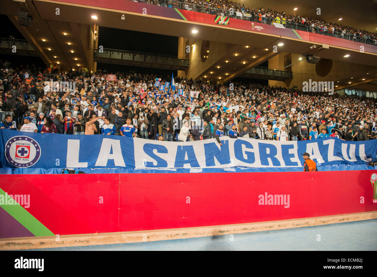 Cruz azul fans hi-res stock photography and images - Alamy