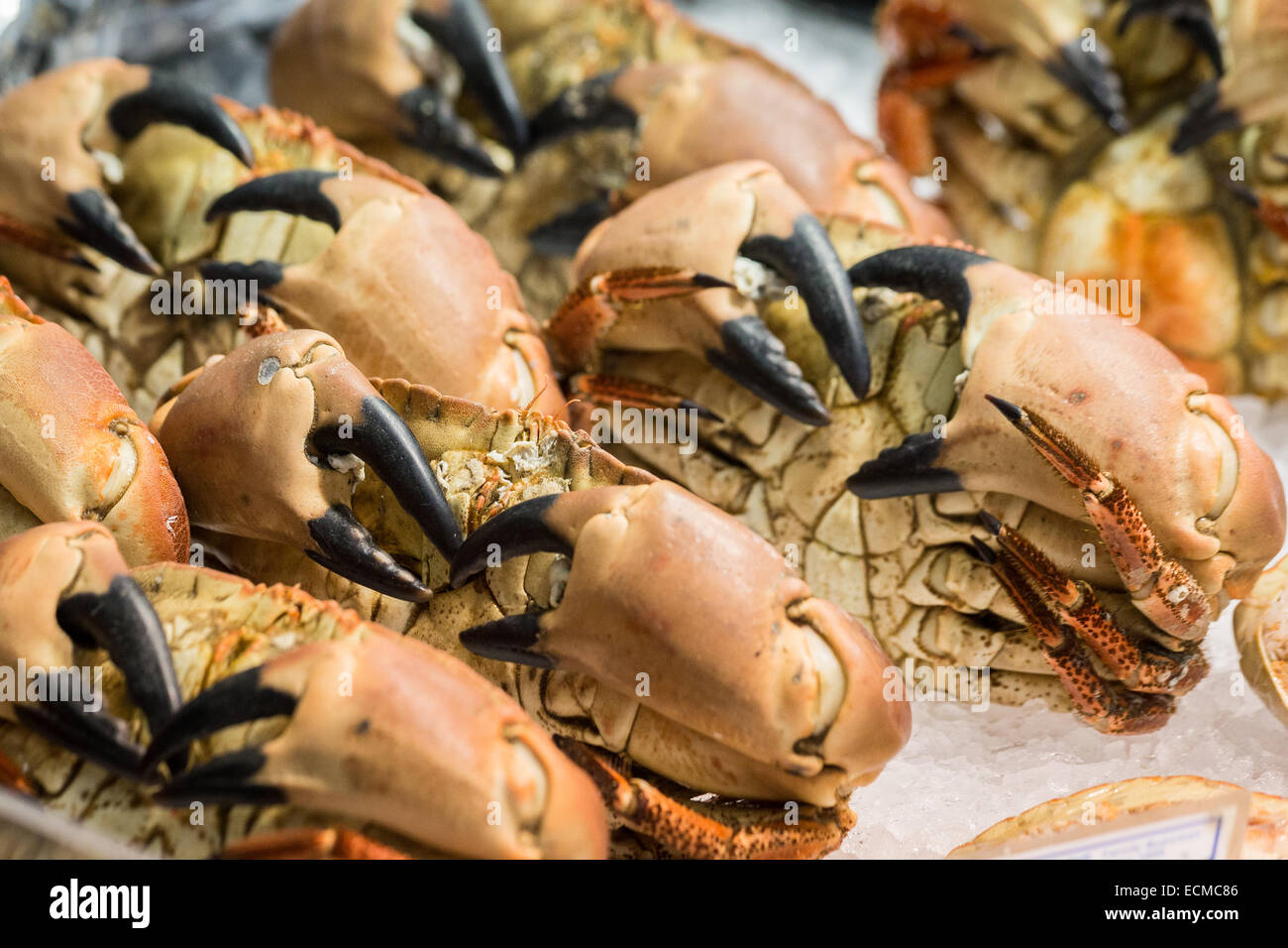 Fresh crabs hi-res stock photography and images - Alamy