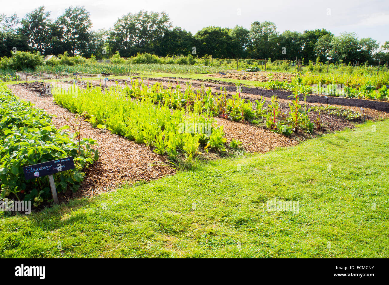 Sissinghurst Castle vegetable garden Stock Photo - Alamy