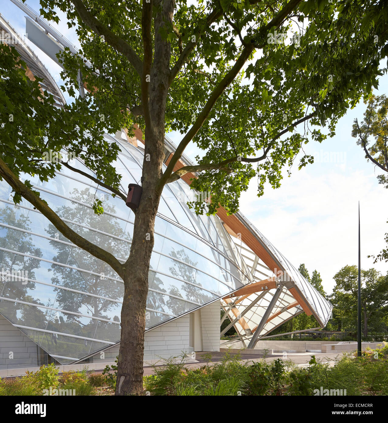 Fondation Louis Vuitton, Paris, France. Architect: Gehry Partners LLP ...