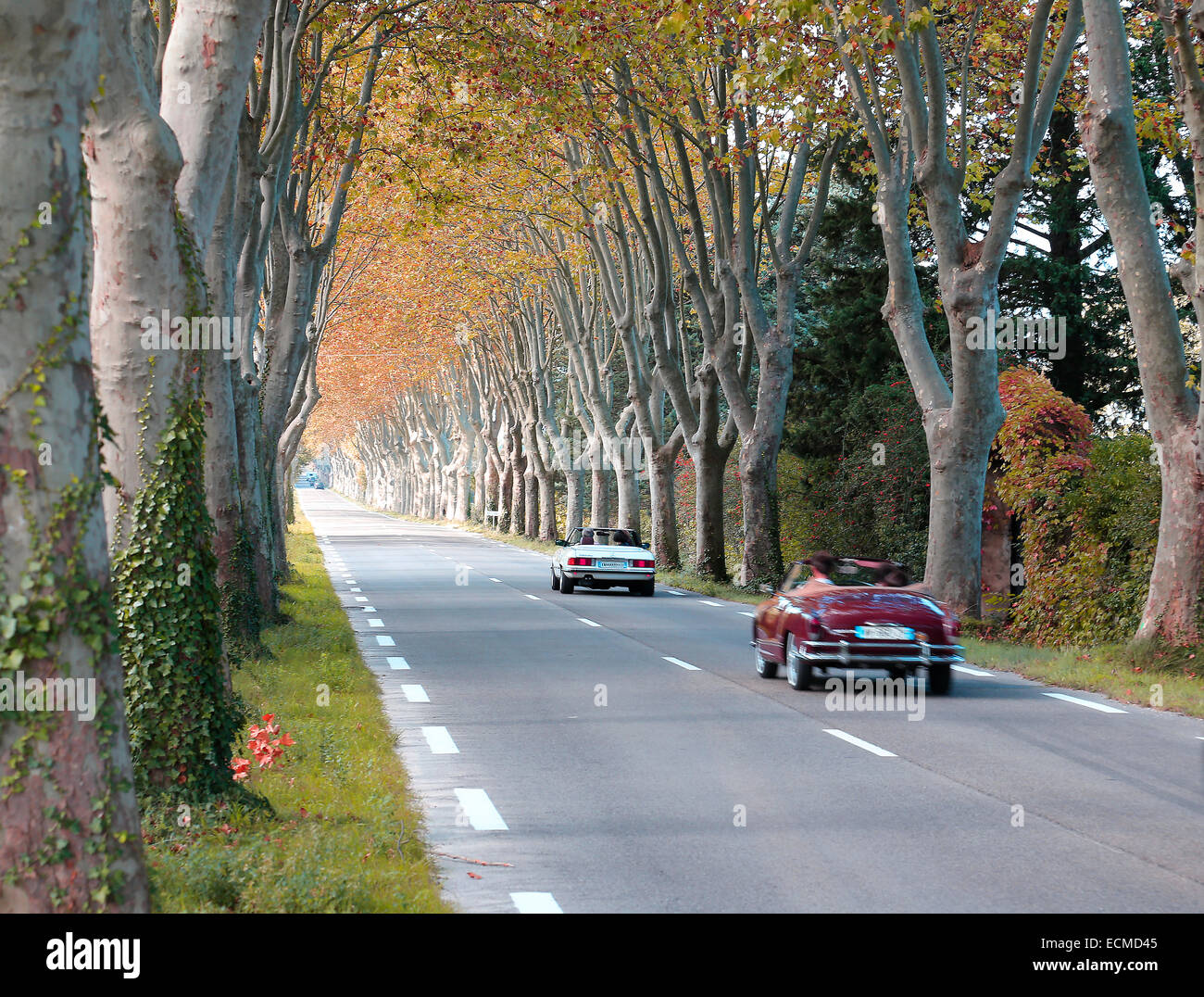 French Road High Resolution Stock Photography and Images - Alamy