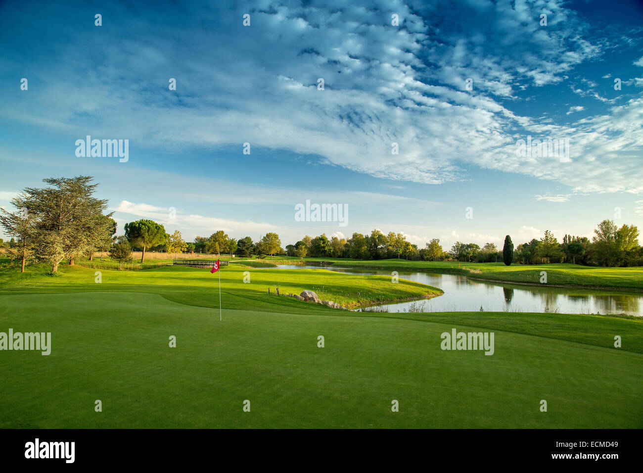 Montpellier massane hi-res stock photography and images - Alamy