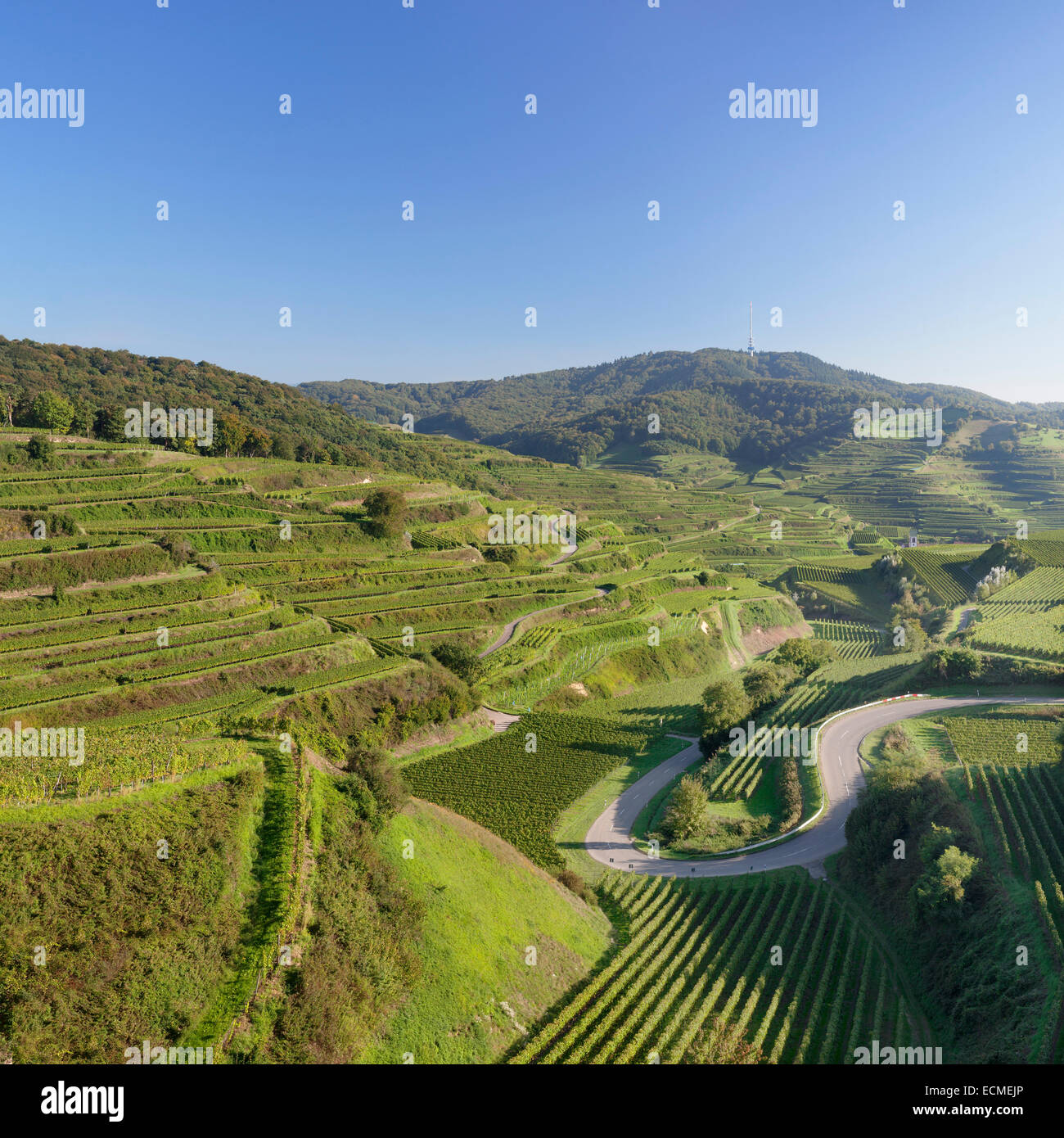 Black forest kaiserstuhl hi-res stock photography and images - Alamy