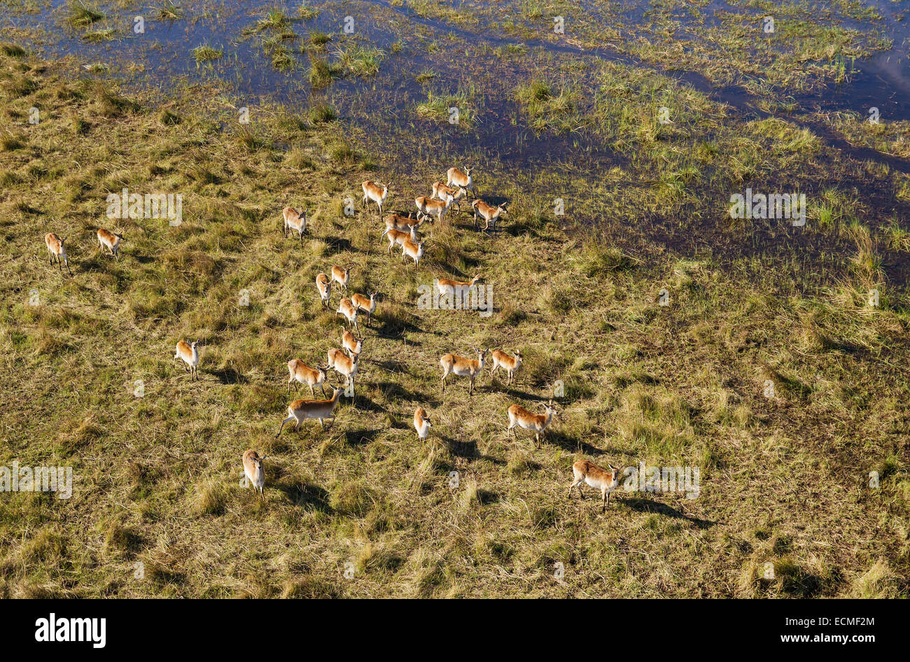 Edge Of Marsh High Resolution Stock Photography and Images - Alamy