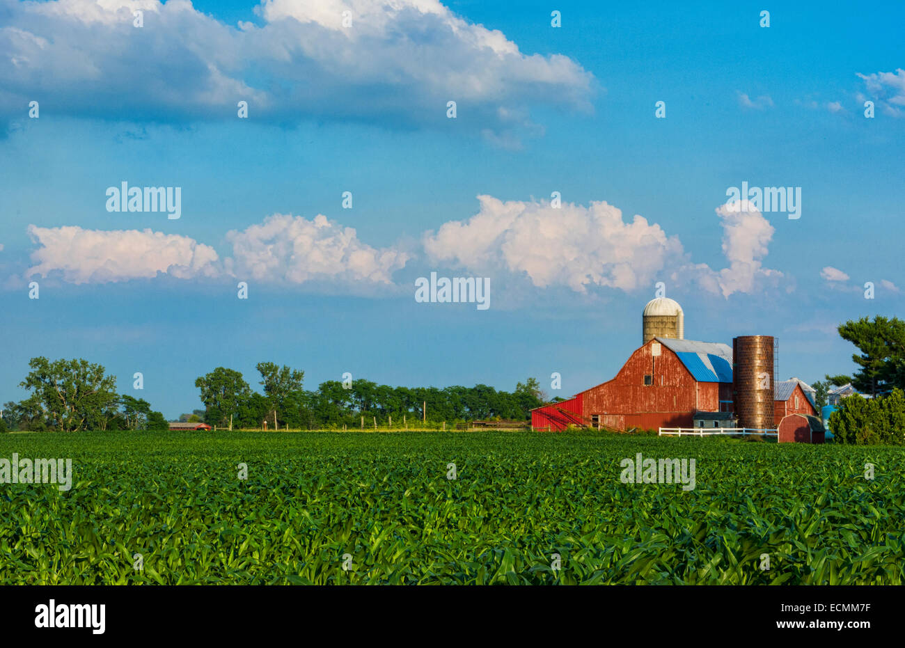 Milford Center Ohio farm with red barn and corn owned by Jim Watkins ...