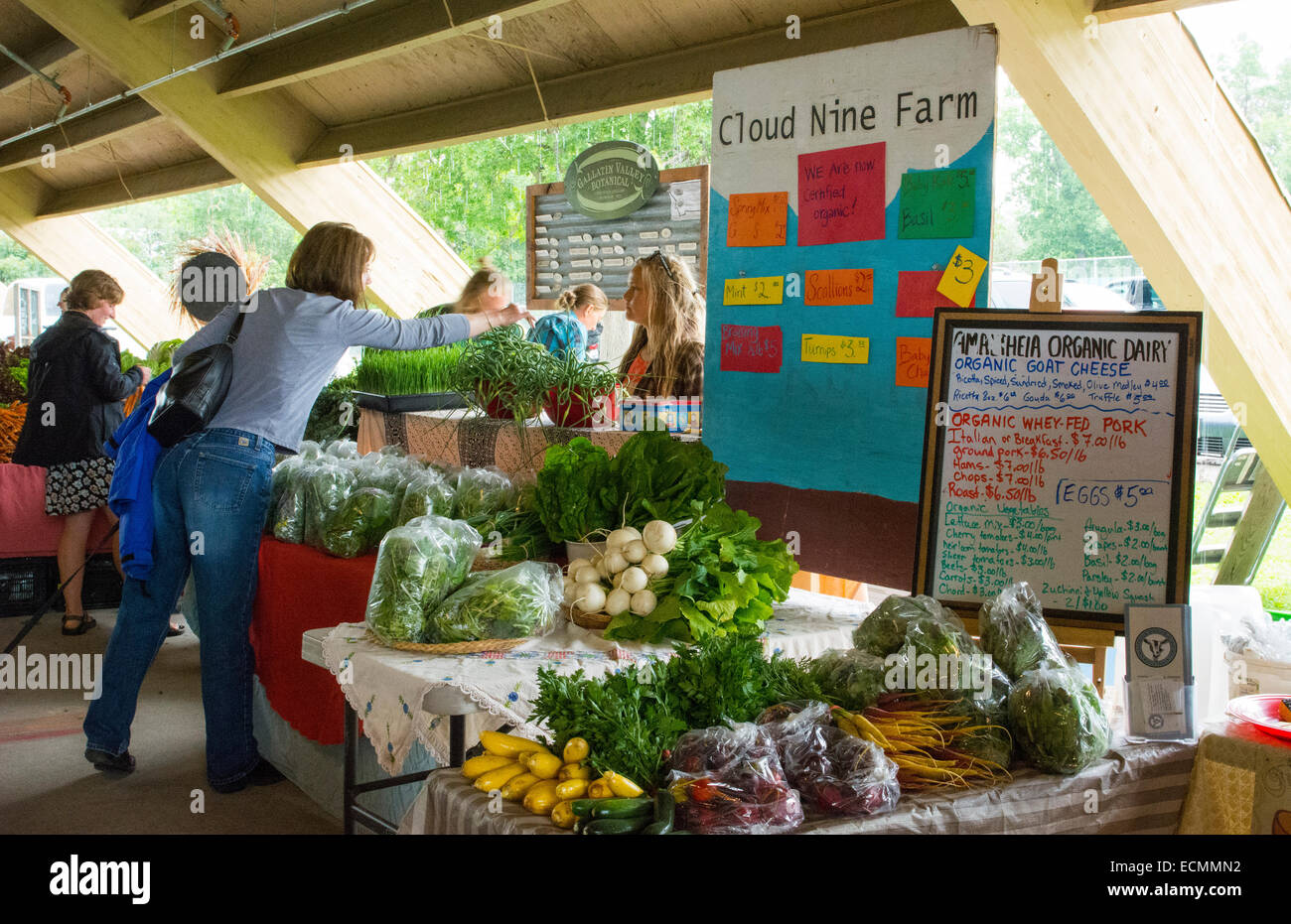 Bozeman Montana fair with selling Organic food selling food Stock Photo ...