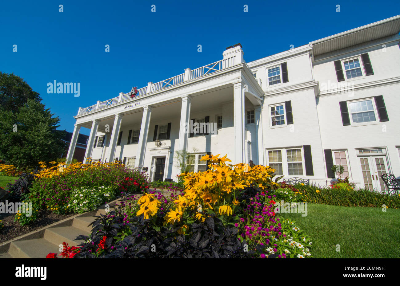Sorority Houses Mizzou