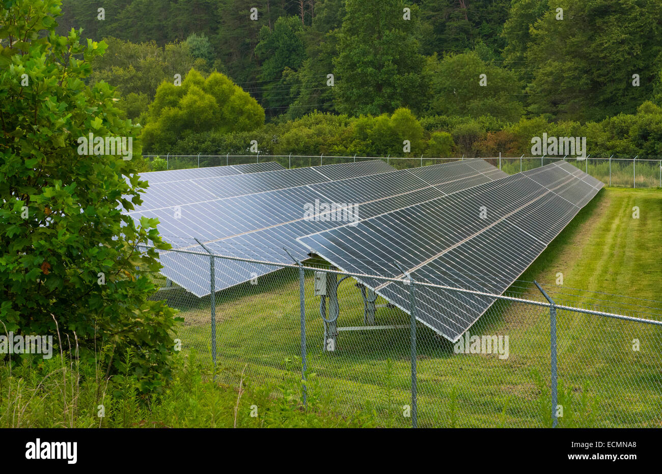 Georgia solar panels energy green solar mountains Sky Valley Stock ...